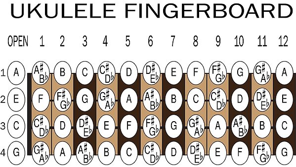 Ukulele Fingerboard Notes - Kalymi Music