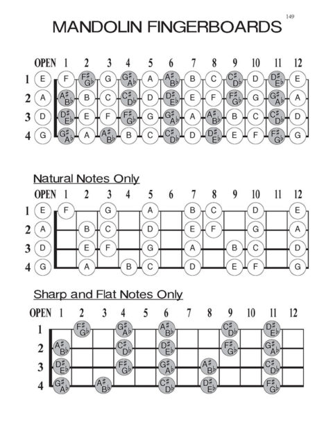 Mandolin Blank Tablature Workbook and Reference | Kalymi Music