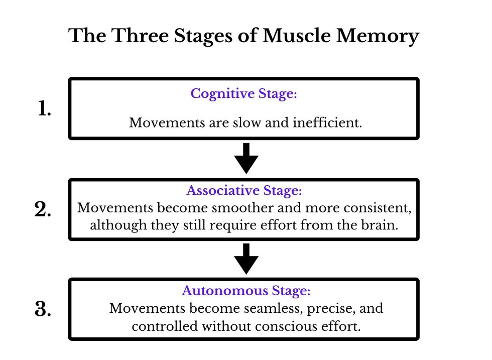 What is Muscle Memory in Music | Kalymi Music